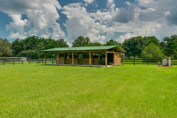 Turn Key Mini Farms in Central Florida - Showcase Ocala