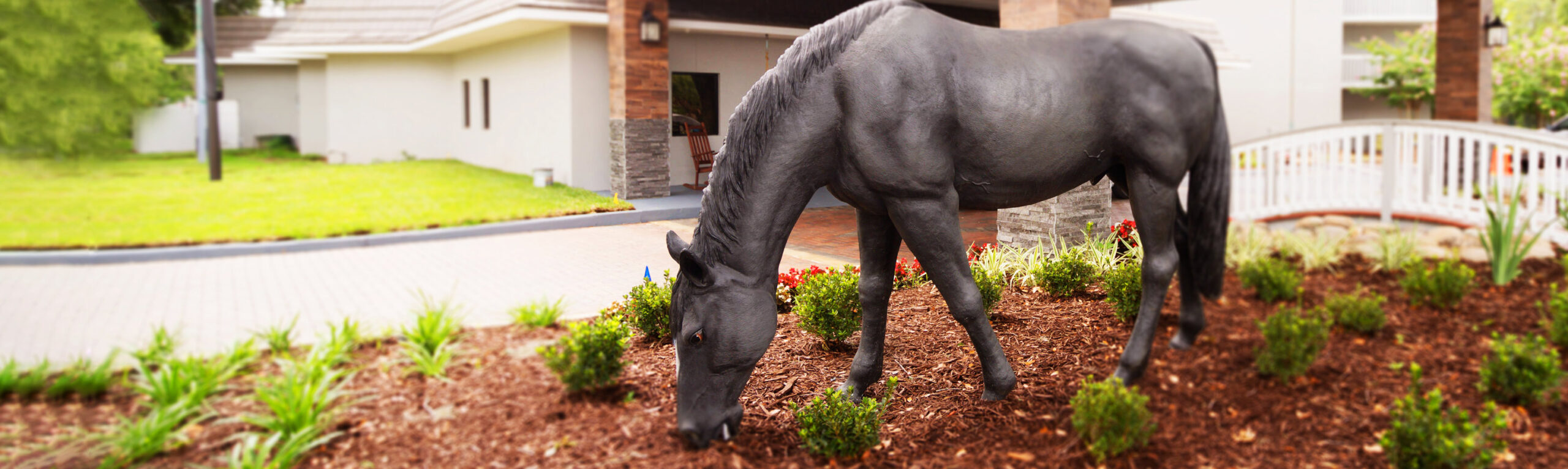 Community Spotlight | The Equus Inn