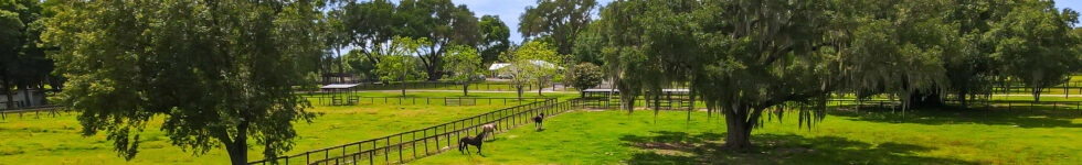 New Developments - Showcase Ocala