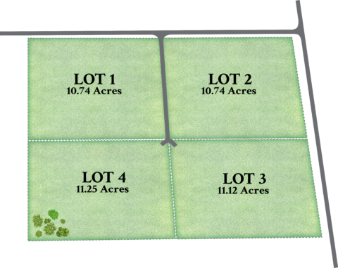 New Developments - Showcase Ocala