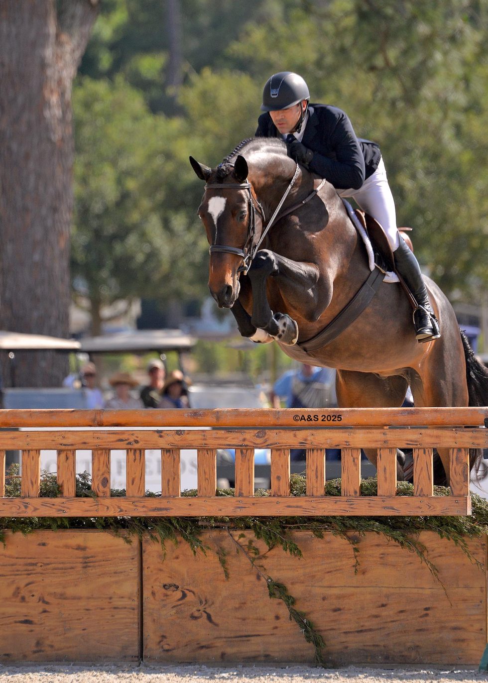The Peeps Foundation | Josh Dolan’s Mini Horse Mission - Showcase Ocala
